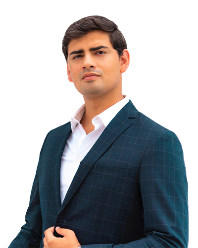 About Us | Coudelaria Sao Luis Rei